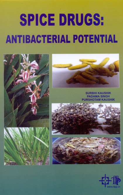Spice Drugs : Antibacterial Potential