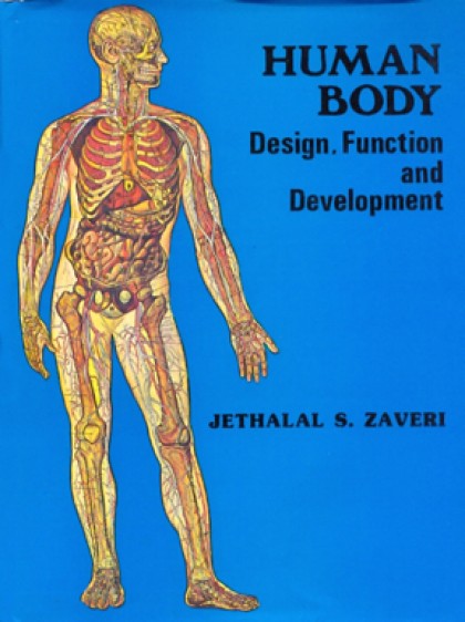 Human Body Design Function and Development